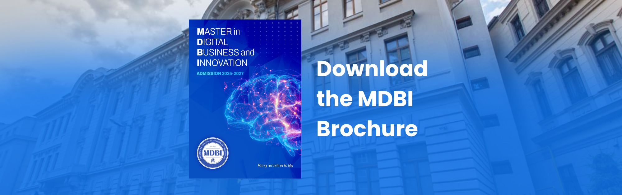 MDBI | Master in Digital Business